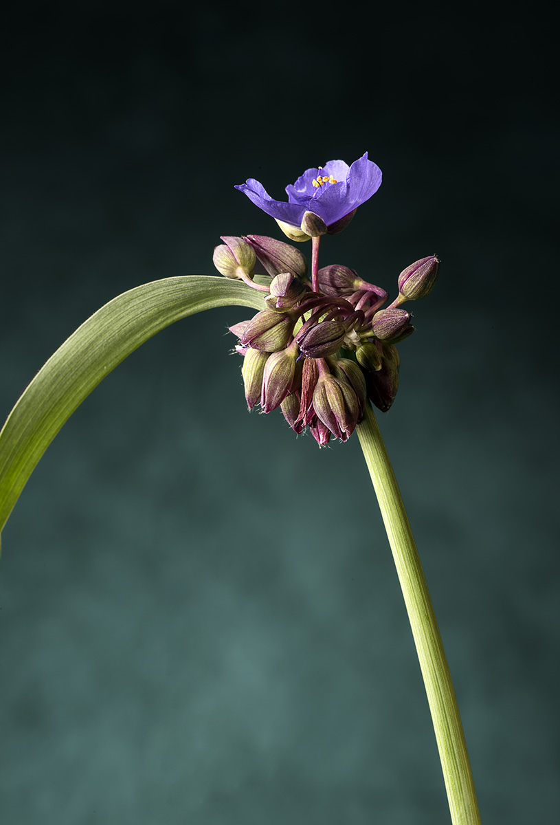 Woytek Konarzewski, soirée à la galerie Area - Saisons de culture https ...